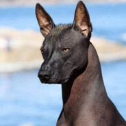 Steam Community :: sever_aleks