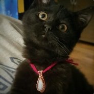 Steam Community :: Flashy Sprinkles