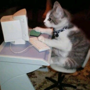 Steam Community :: geronimo