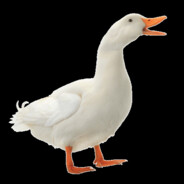 Steam Community :: Duck