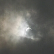 Steam Community :: ginkgo