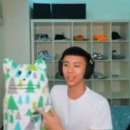 Steam Community :: Ray