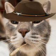 Steam Community :: Mark The Cat Cowboy