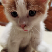 Steam Community :: ESSSSSS