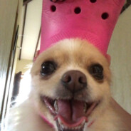 Steam Community :: her pookie