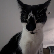 Steam Community :: Killeralien385