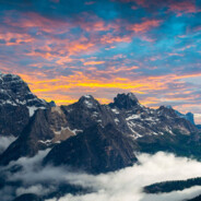 Steam Community :: DiaDuck