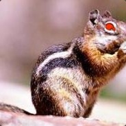 Steam Community :: An Angry Chipmunk