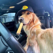 Steam Community :: larsu