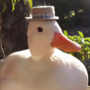 Steam Community :: rofler>/