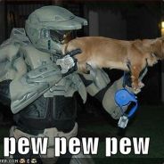 Steam Community :: [Little dog With Minigun]