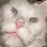 Steam Community :: Kerimo