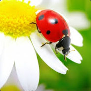 Steam Community :: Marizelle