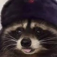 Steam Community :: Comrade Raccoon