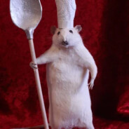 Steam Community :: War Rat