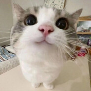 Steam Community :: Hikaru