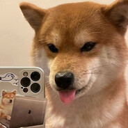 Steam Community :: RapDog