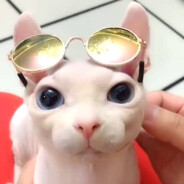 Steam Community :: Bingus_Gaming