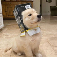 Steam Community :: danny