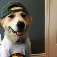 Steam Community :: Koshibu