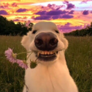 Steam Community :: zukey