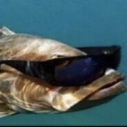 Steam Community :: plorp