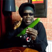 Steam Community :: Reggie The Veggie