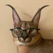 Steam Community :: FLOPPA