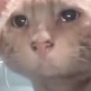 Steam Community :: Zeekx