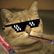 Steam Community :: Group :: Major cats!!!!!
