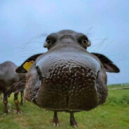 Steam Community :: SYSLIK_5