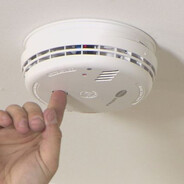 Steam Community :: African Ceiling Bird