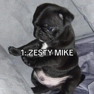 Steam Community :: ZESTY MIKE