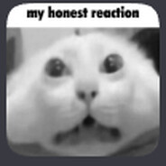 Steam Curator: 👍 or 🥀