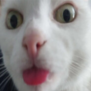 Steam Community :: CAT