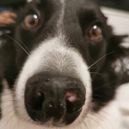 Steam Community :: sir pablo