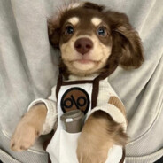 Steam Community :: Evan