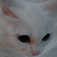 Steam Community :: -=ZaZoR=("""""""""""""""""""""")