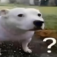 Steam Community :: particularly devious dog