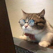 Steam Curator: Cat Critic