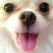 Steam Community :: MoPipe