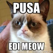 Steam Community :: PUSA EDI MEOW