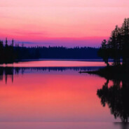 Steam Community :: Mr. Frog