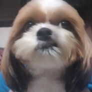 Steam Community :: Gylan