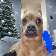 Steam Community :: Squigga