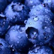 Steam Community :: BLUEBERRY