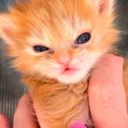 Steam Community :: tg @UNKB002