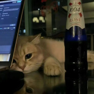 Steam Community :: Auncel