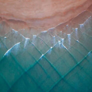 Steam Community :: Shnarf