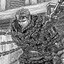 Steam Community :: pinkchyuwu